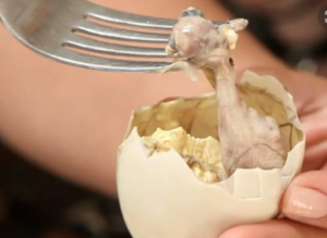 Gross Foods: Top 20 Most Disgusting Foods in the World
