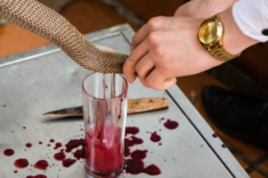 Gross Foods: Top 20 Most Disgusting Foods in the World