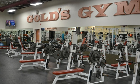 Top 10 Best Gyms in India 2023 (Fitness Centres)
